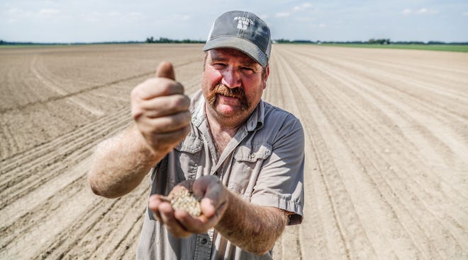 Inside the 'wild wild west' of Indiana's first major hemp harvest ...
